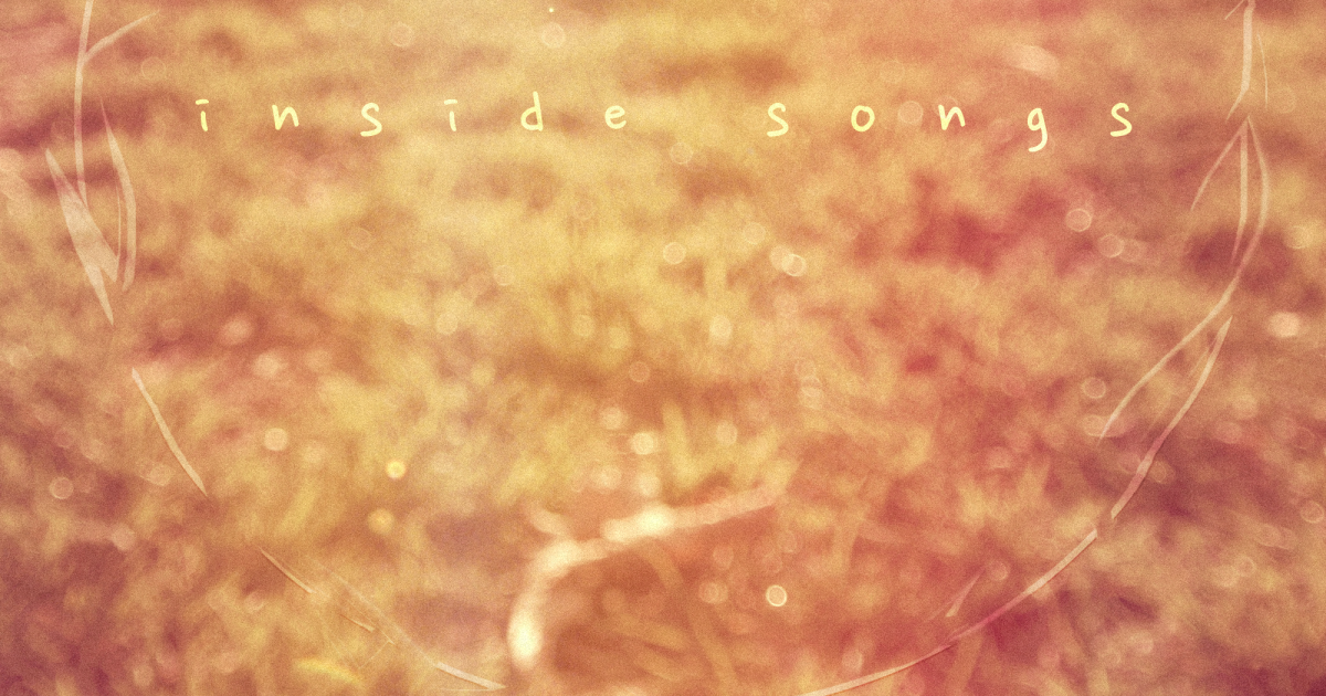 Inside Songs EP, an album by Dario Lupo | Musicbed