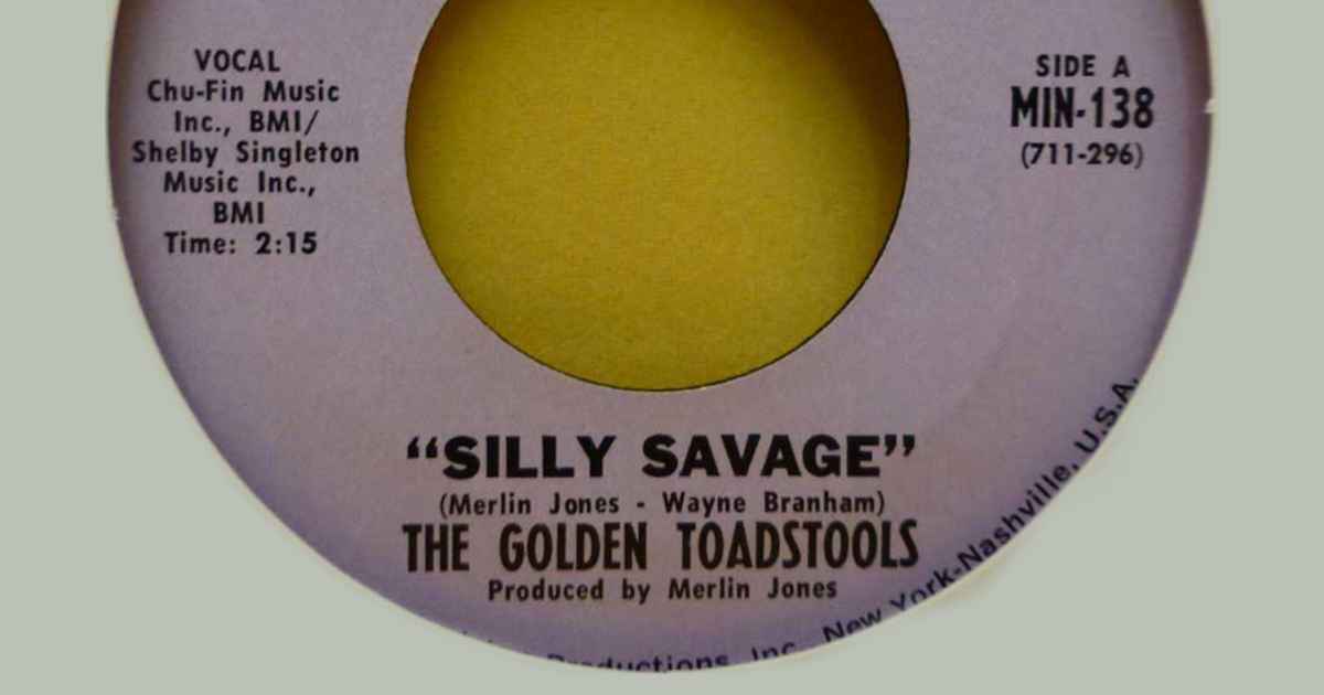 Golden Toadstools, an album by Golden Toadstools | Musicbed