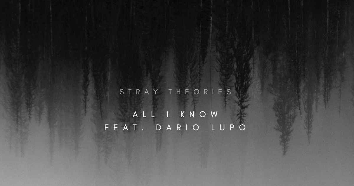 All I Know feat. Dario Lupo, an album by Stray Theories | Musicbed