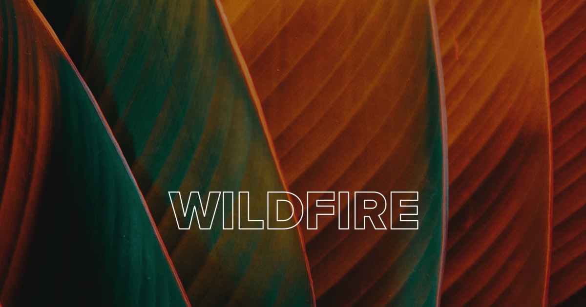 Wildfire, an album by Wendy Child | Musicbed