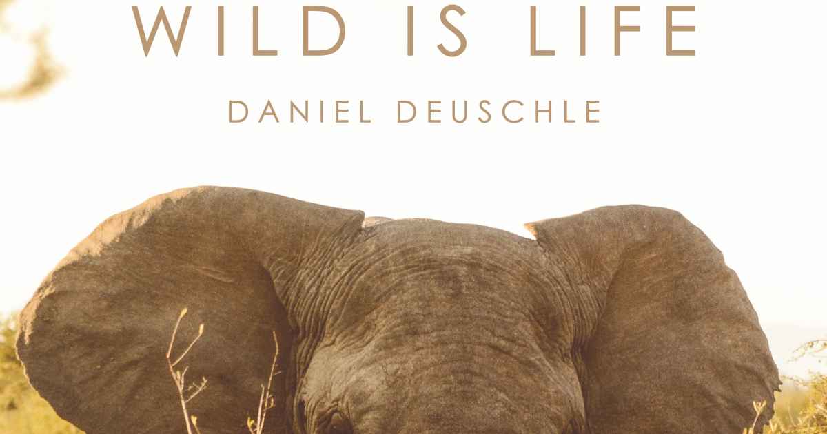 Wild Is Life, an album by Daniel Deuschle | Musicbed
