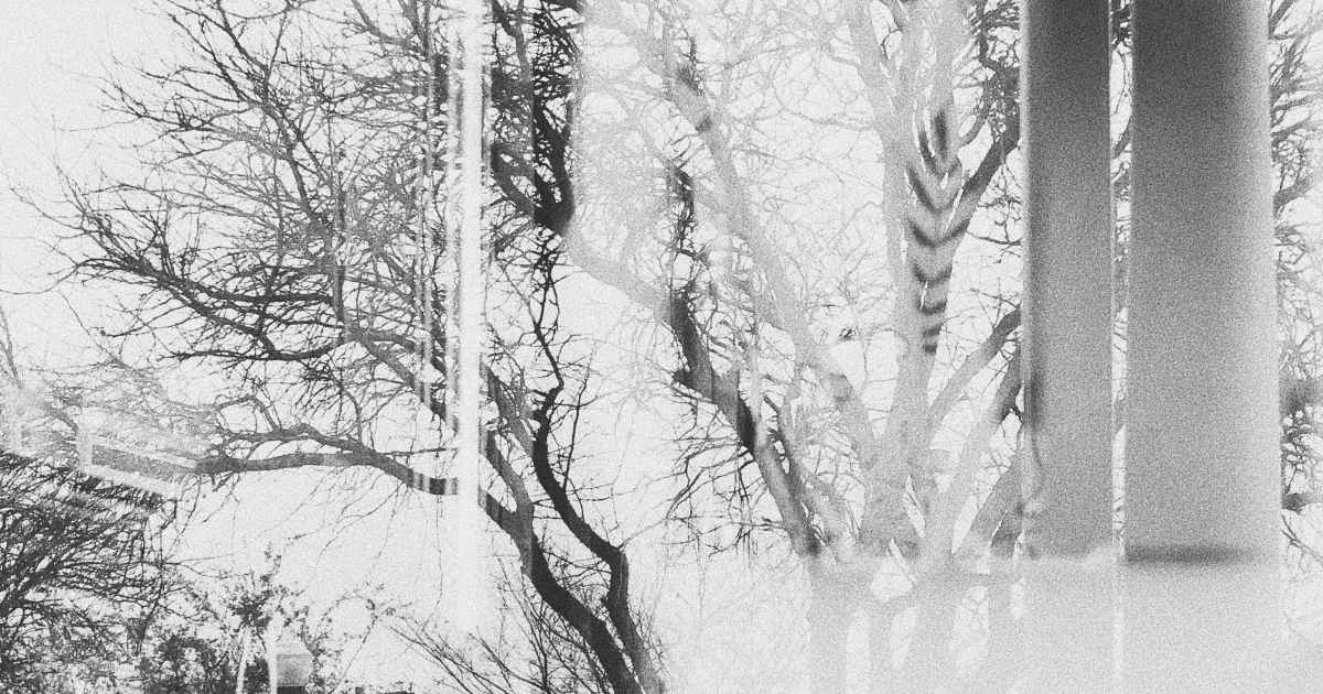 Overlook, an album by The Field Tapes | Musicbed