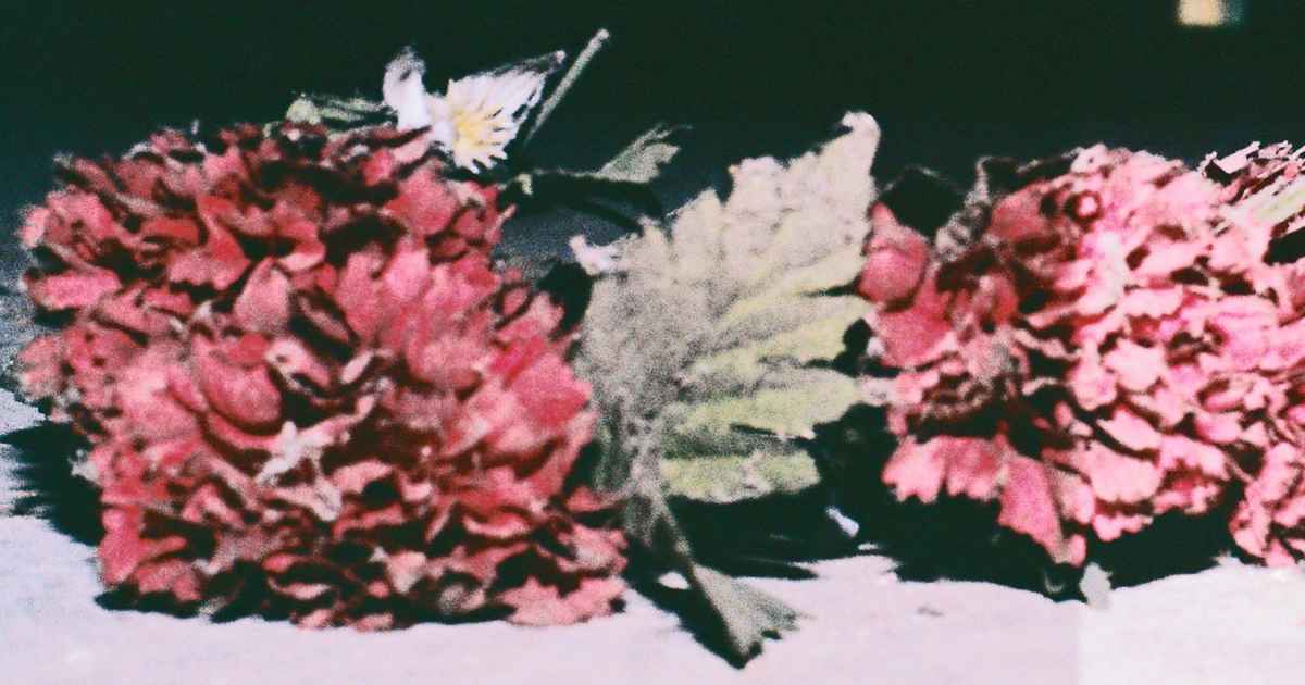 Let's Spend The Night, an album by Graham Colton | Musicbed