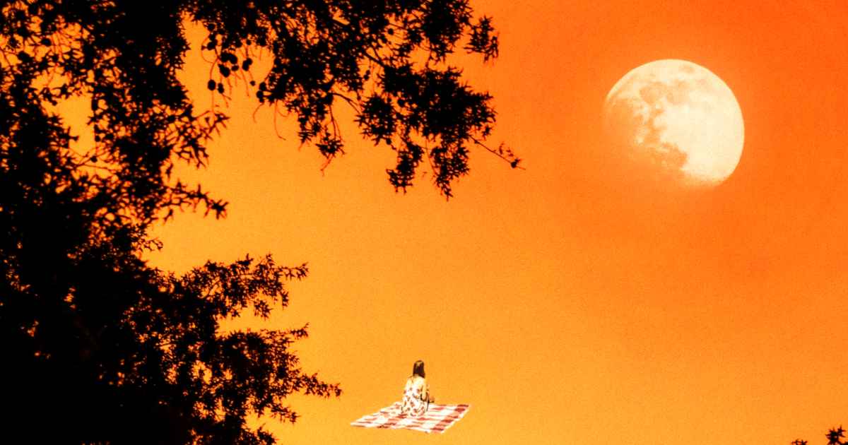 cypress, an album by Max Fry | Musicbed