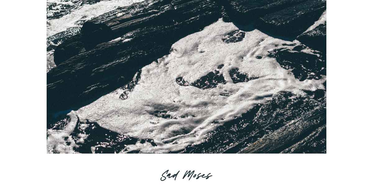 The Light On The Waves, an album by Sad Moses | Musicbed