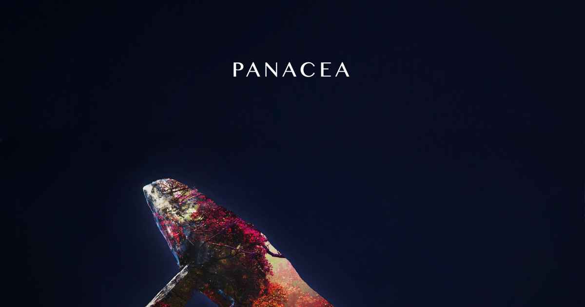 PANACEA, an album by Why We Wander | Musicbed