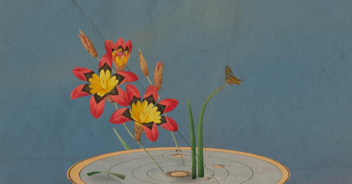 Now is Not Forever 'Reimagined', an album by Brian Reith | Musicbed