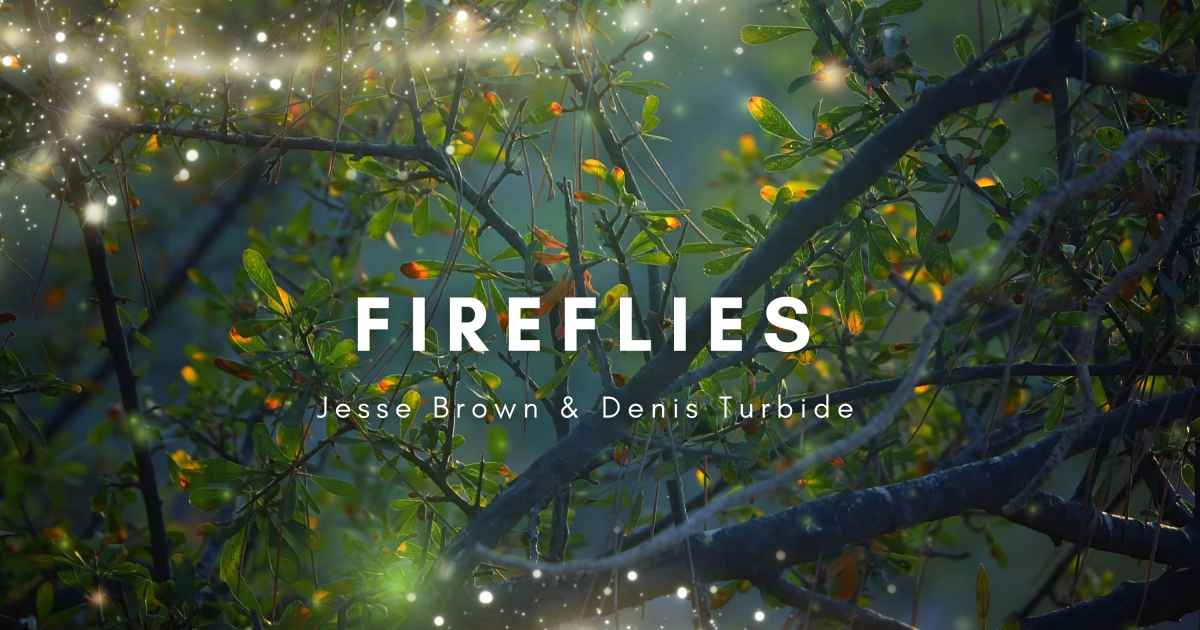 Fireflies, an album by Jesse Brown | Musicbed