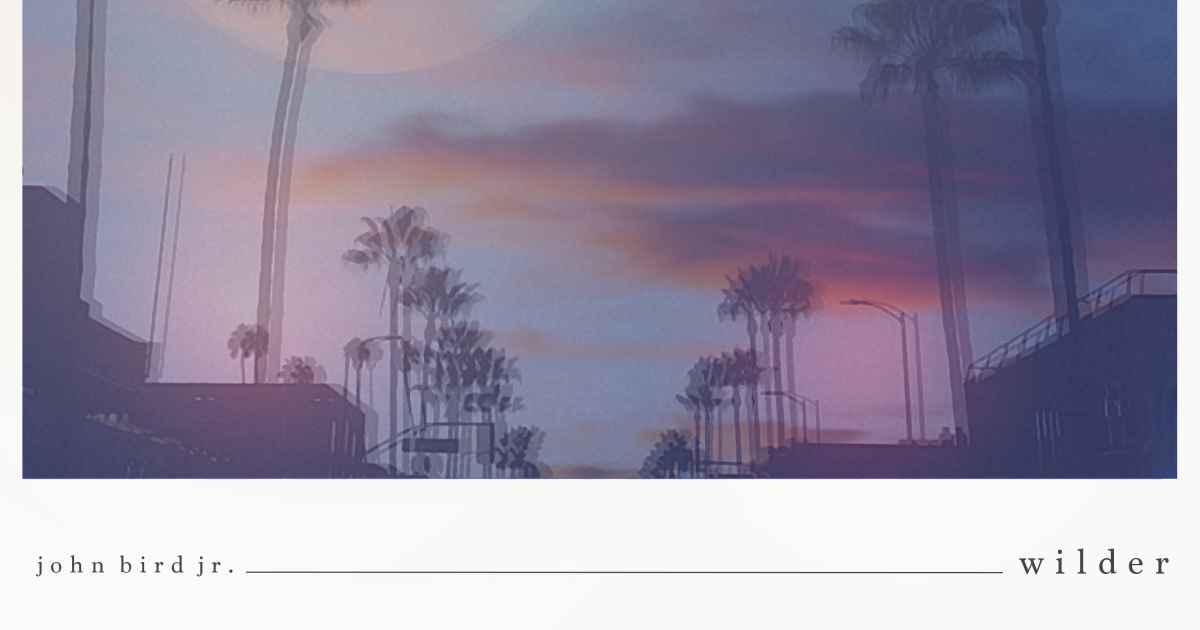 Wilder, an album by John Bird Jr. | Musicbed