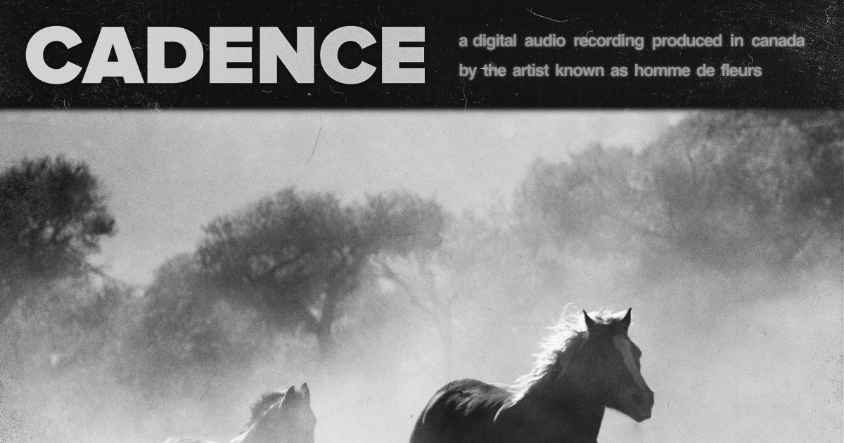 Cadence, an album by Homme de Fleurs | Musicbed