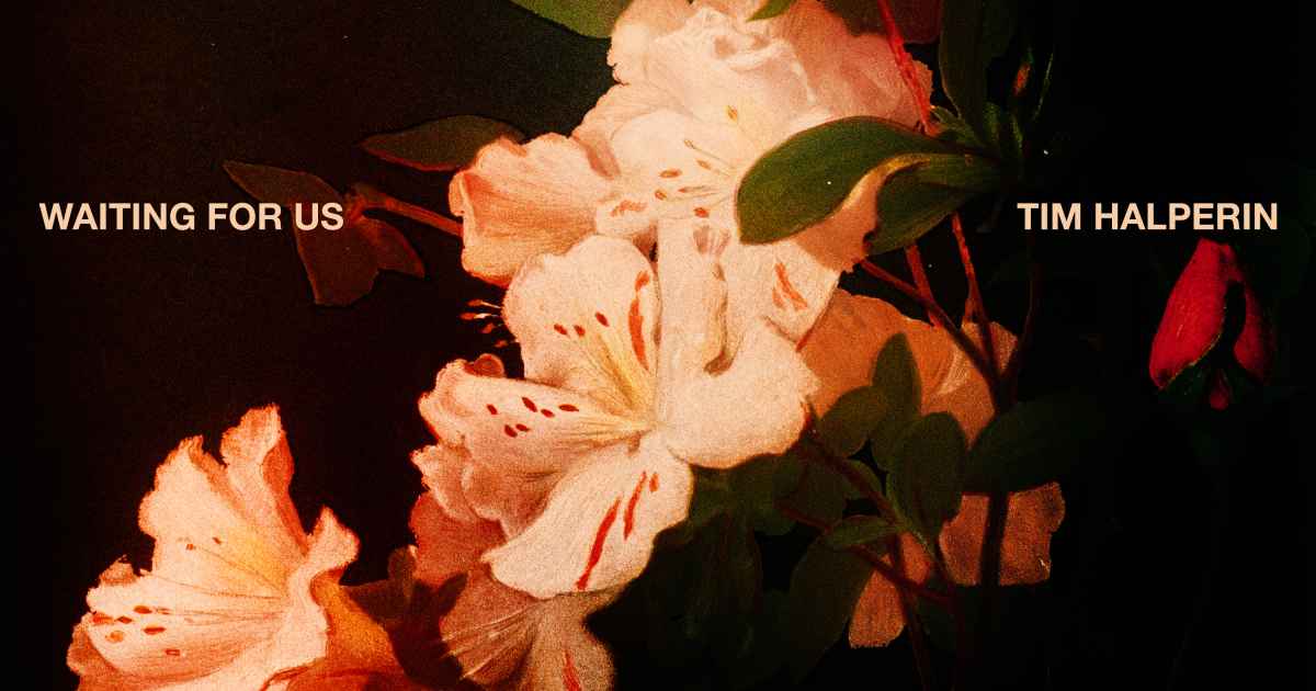 Waiting For Us, an album by Tim Halperin | Musicbed