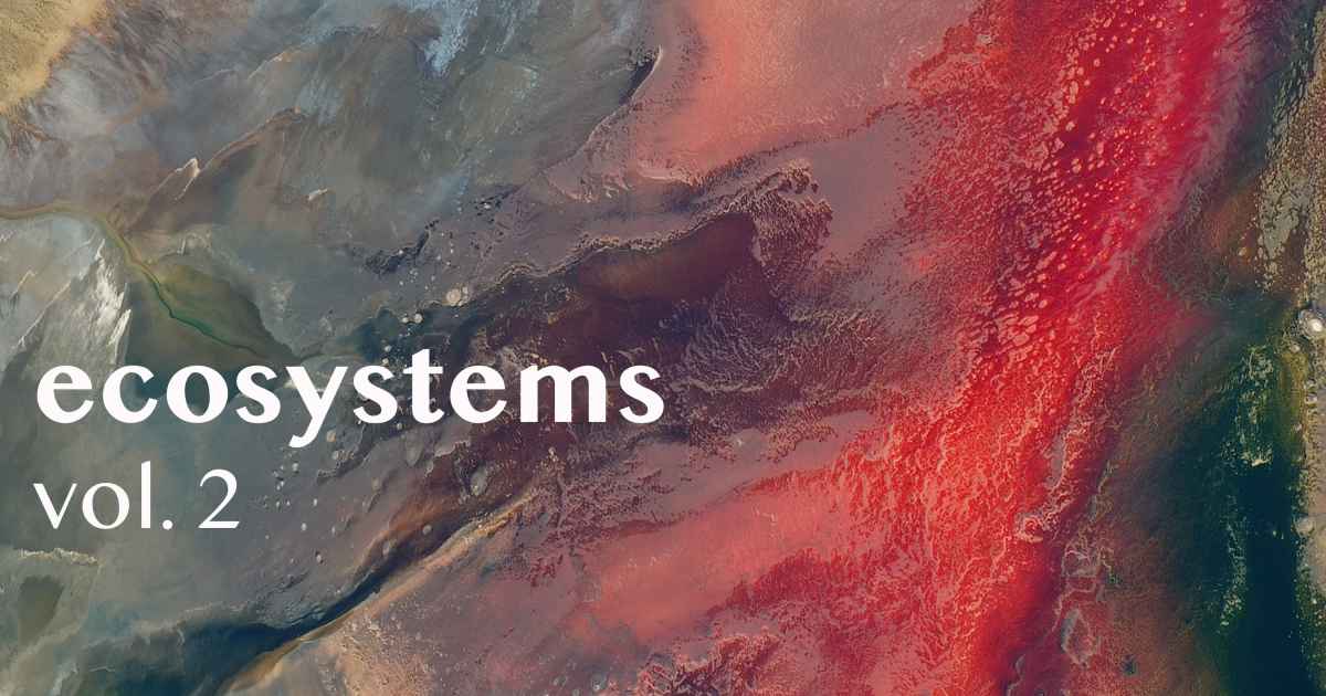 Ecosystems Vol. 2, an album by Davis Harwell | Musicbed