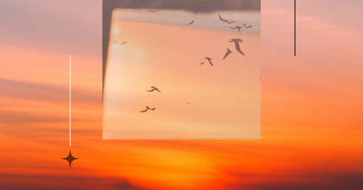 Cloud Forest / Solar Child, an album by Fletcher Reed | Musicbed