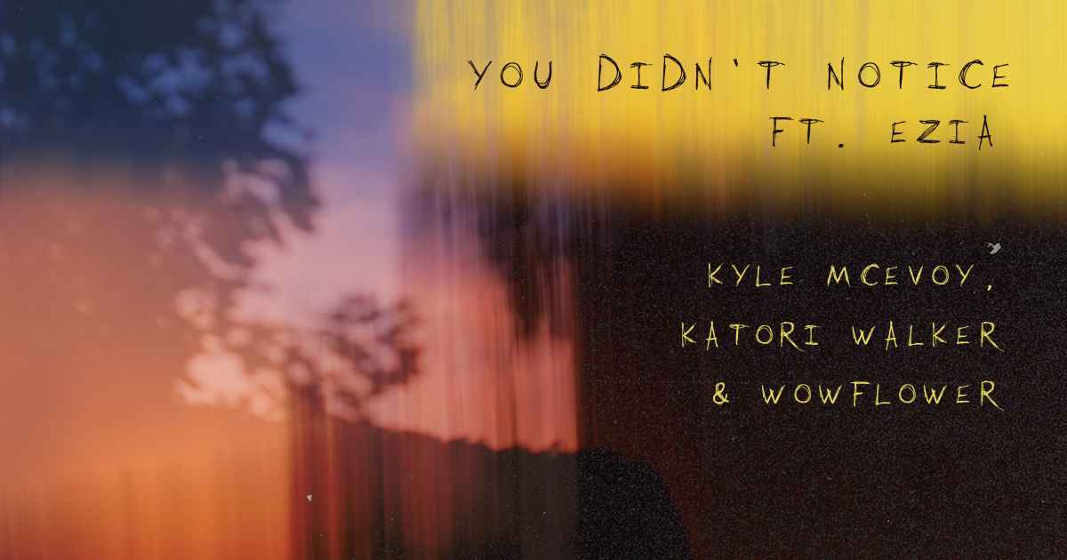 You Didn't Notice (with Katori Walker & Wowflower), an album by Kyle ...