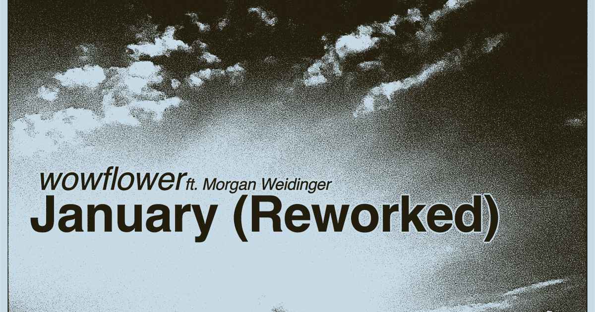 January (Wowflower Rework), an album by Morgan Weidinger | Musicbed