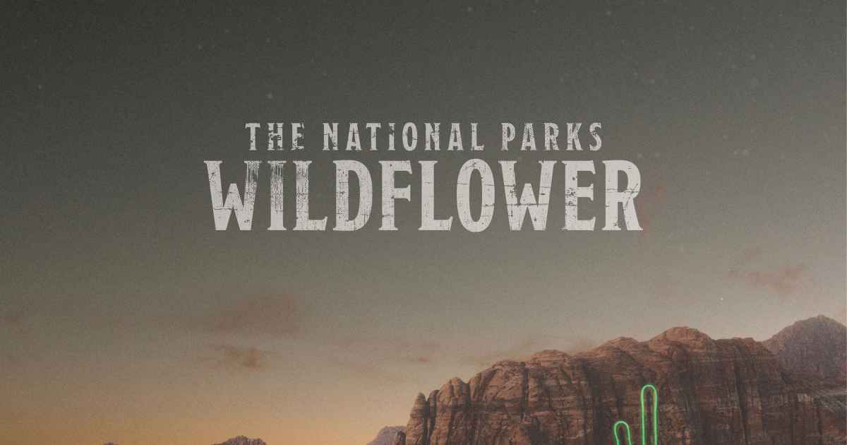 Wildflower, an album by The National Parks | Musicbed