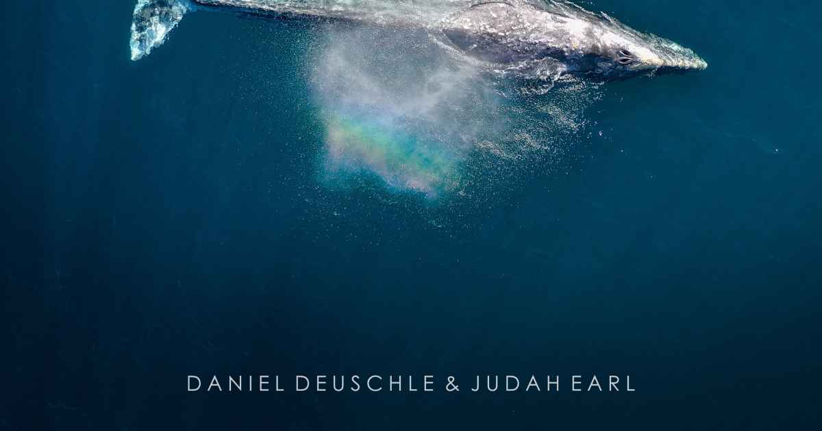 Origins, an album by Daniel Deuschle | Musicbed