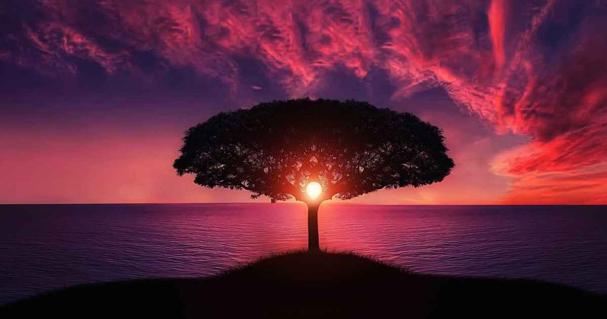 World's Greatest Classical Overtures, an album by The Royal Festival ...