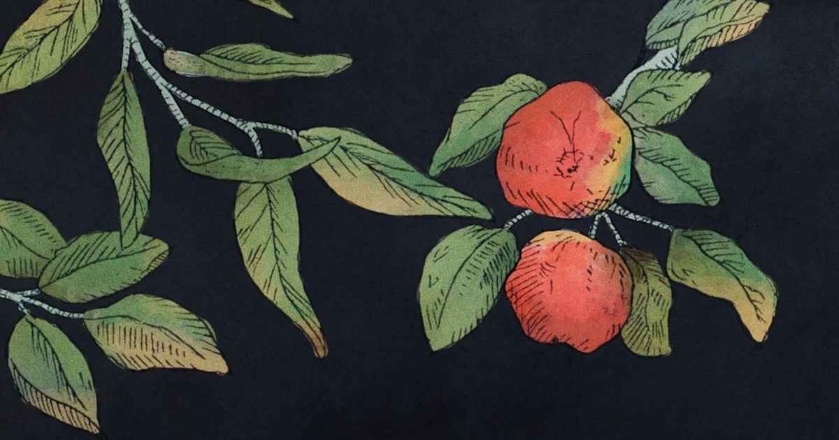 You and Me for Now, an album by Austin Basham | Musicbed