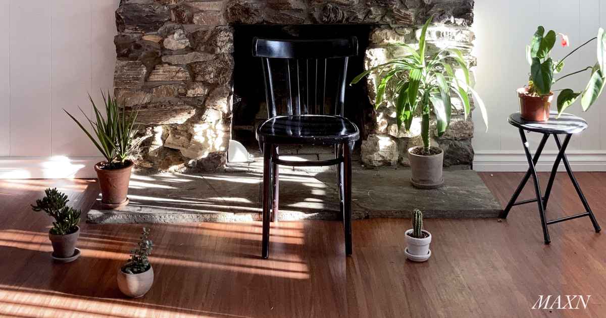 Mr. Sensitive Feelings, an album by MAXN | Musicbed