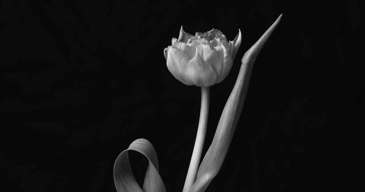 Again, an album by Hannah Parrott | Musicbed