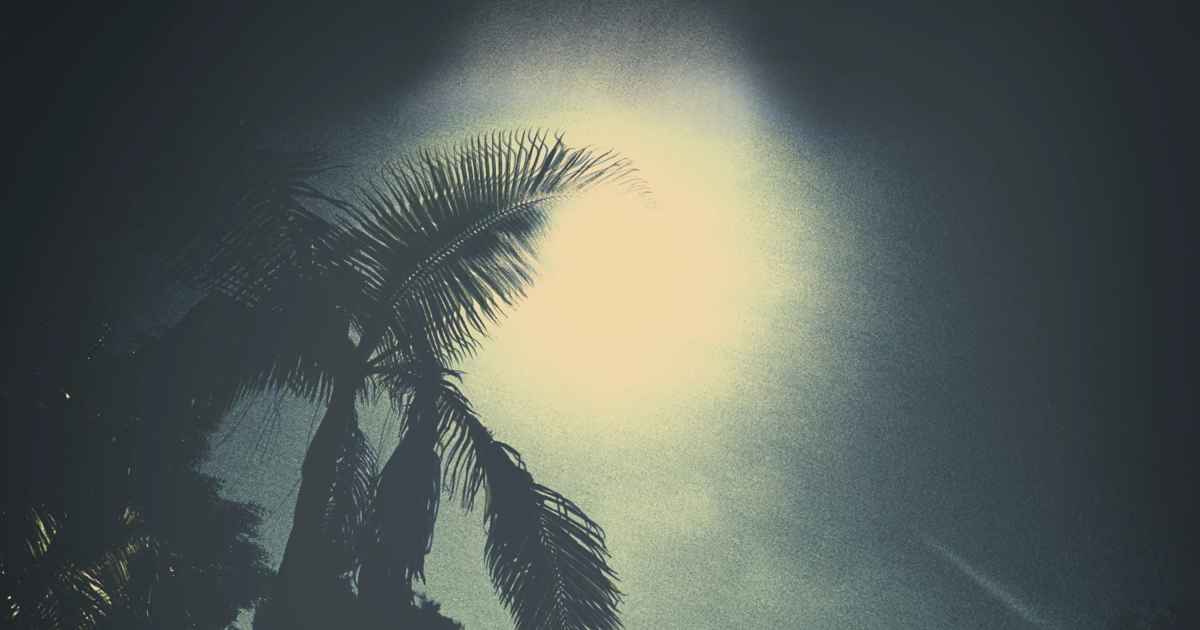 CLAE II feat. Chris Lippincott, an album by Alicia Enstrom | Musicbed