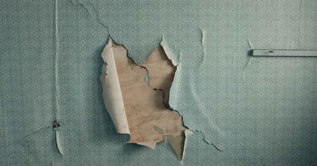 This Is The End feat. Hailey Alley, an album by Hannah Parrott | Musicbed