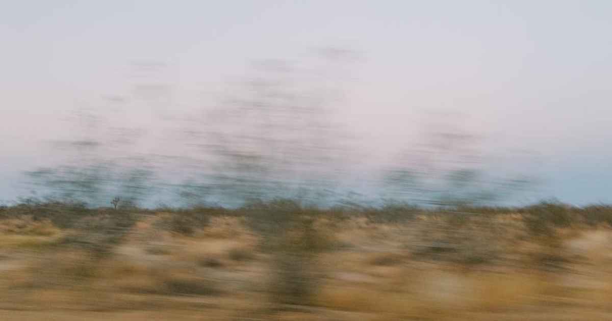 Branches (I Won't Let You Go), an album by Jordan Frye | Musicbed