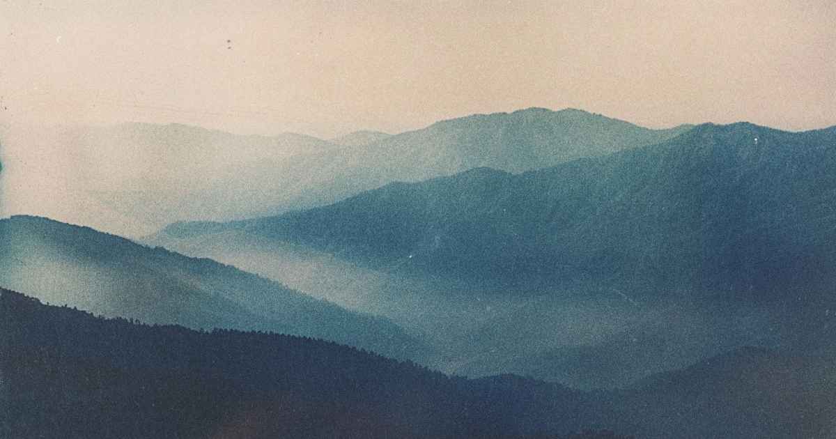 Butterflies (Rework), an album by Tony Anderson | Musicbed