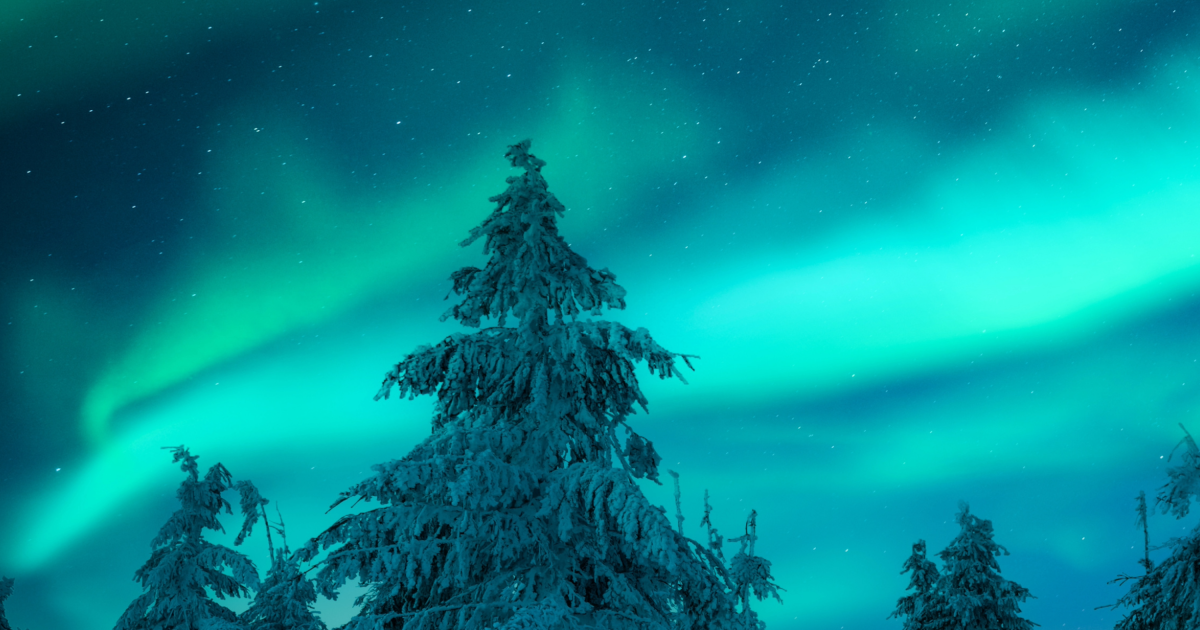 Timelapse, an album by Northern Sounds | Musicbed