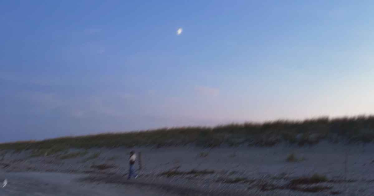 Permission, an album by Maya Manuela | Musicbed