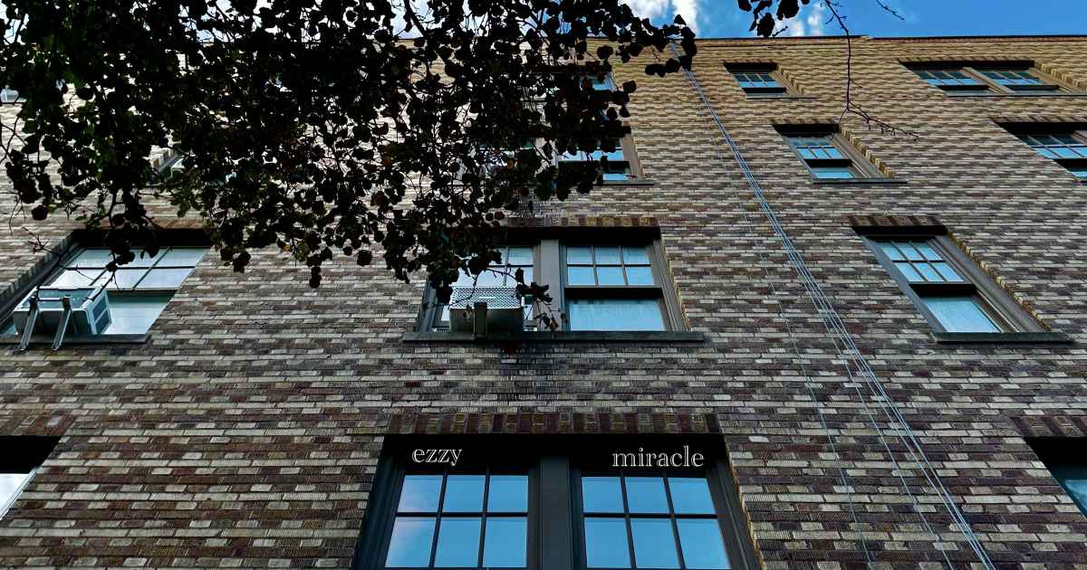 miracle, an album by Ezzy | Musicbed