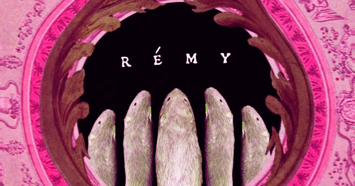 rémy, an album by maxime. | Musicbed