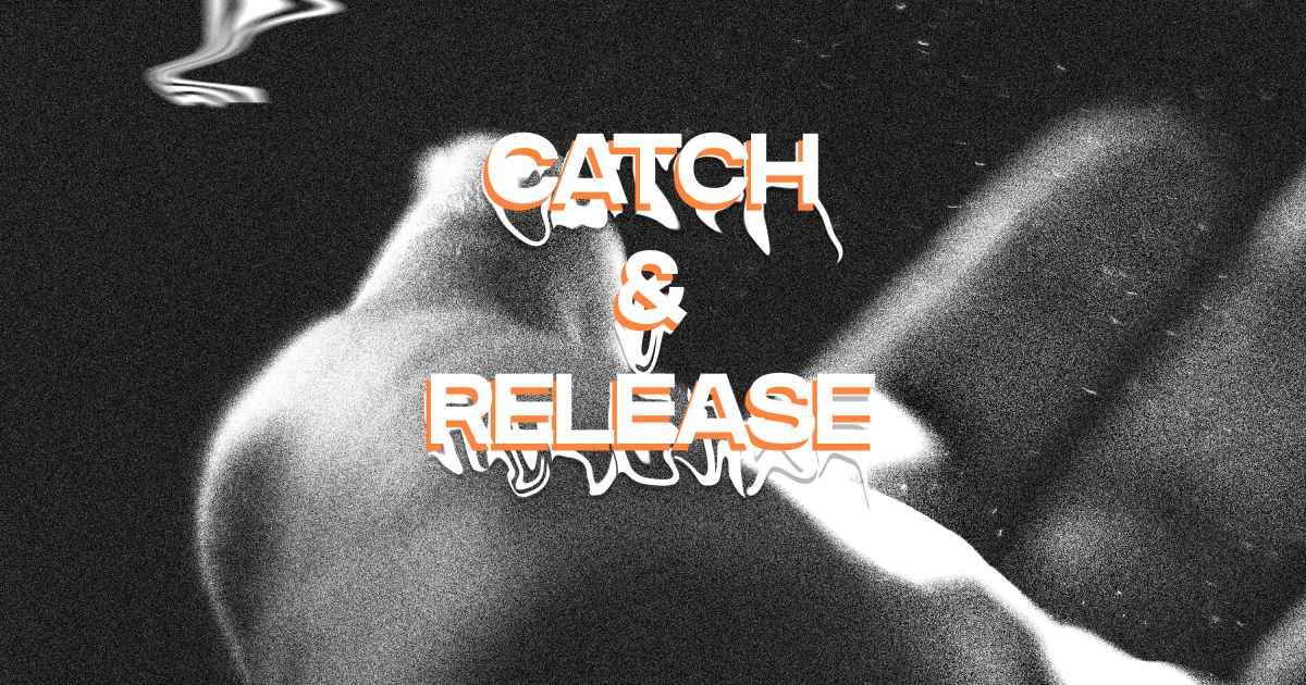 Catch & Release, an album by Nyman | Musicbed