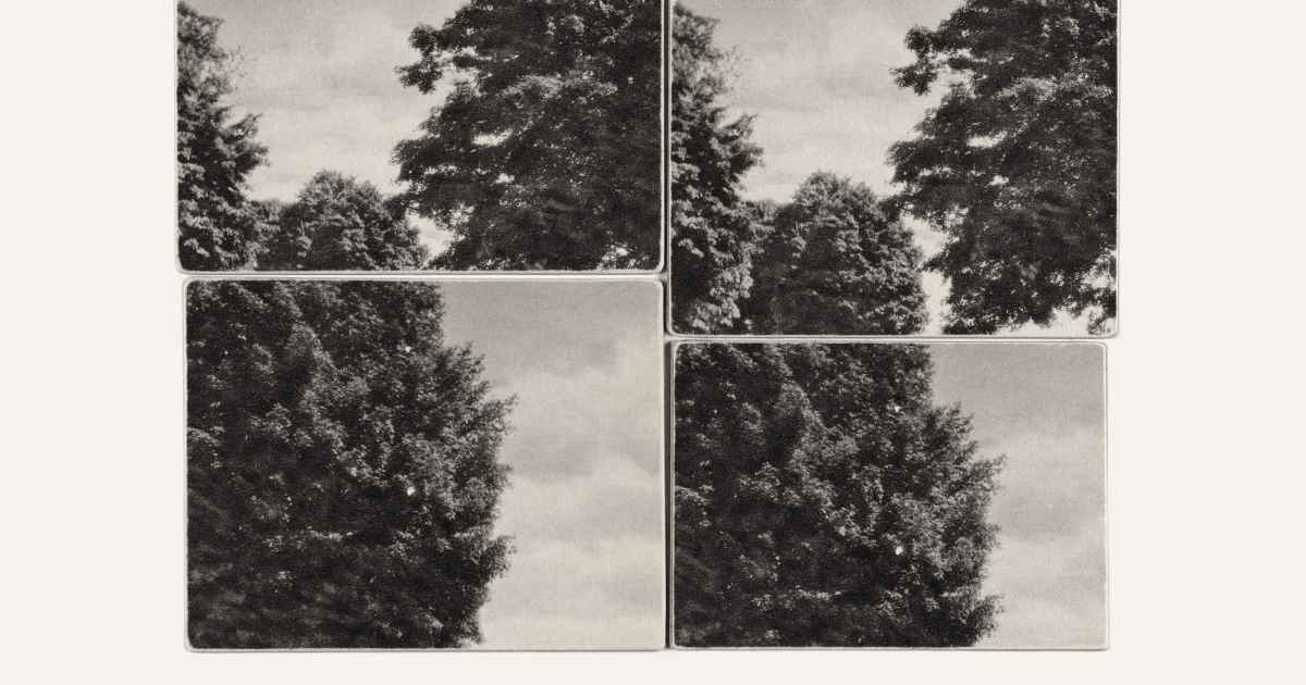 Koral (Remastered), an album by Jacob David | Musicbed