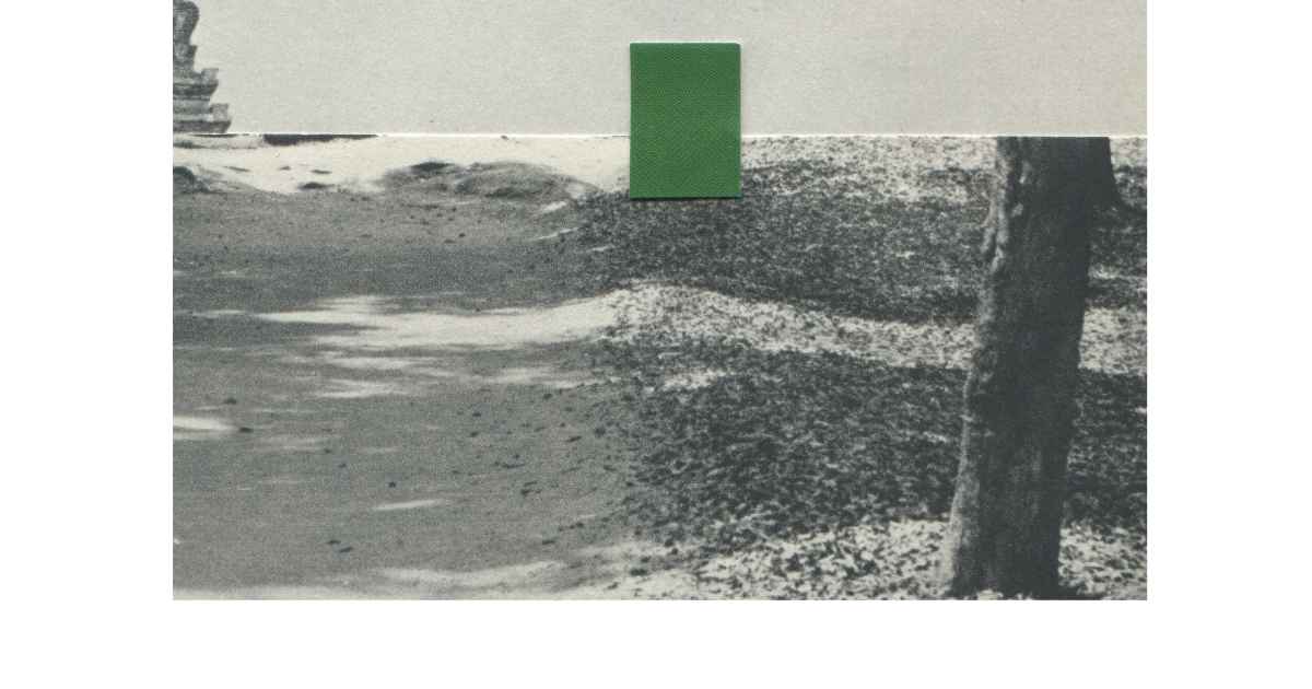 Lille fugl, an album by Jacob David | Musicbed