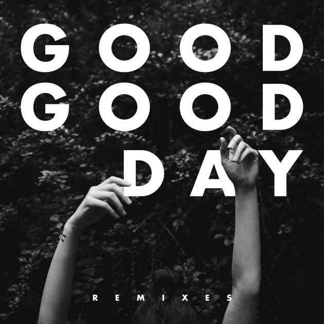 Good Good Day (SVVN Remix) - Instrumental by Volunteer | Song License