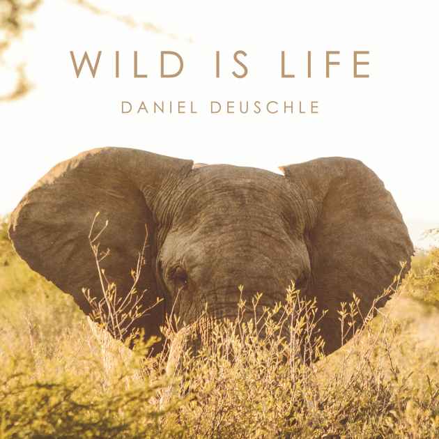 Wild is Life by Daniel Deuschle | Song License