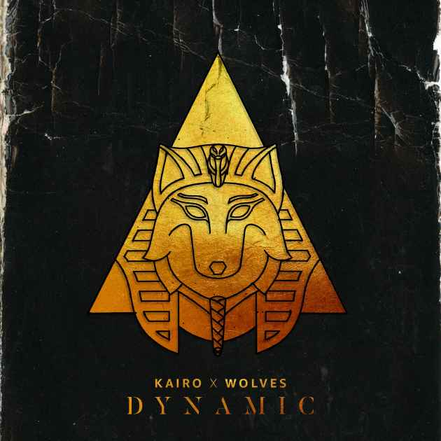 Dynamic by WOLVES | Song License