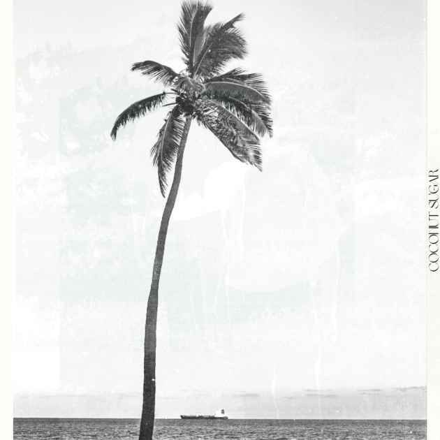 Flying by Will Hearn | Song License