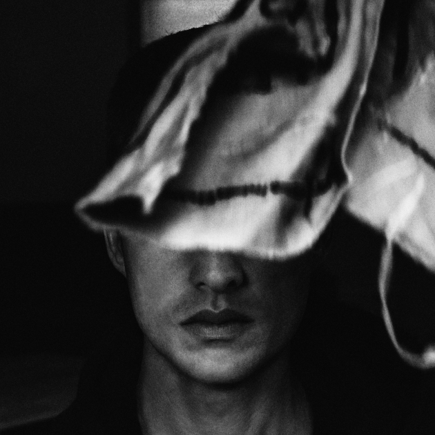 Blackbird Backward by Tom Gallo | Song License