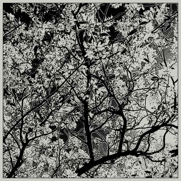 Hearts on Fire by The Shivers | Song License