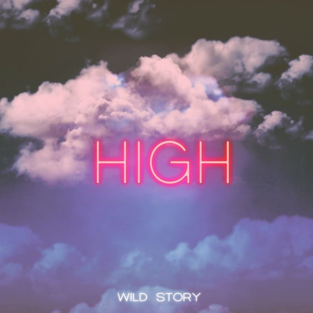 High by Wild Story | Song License