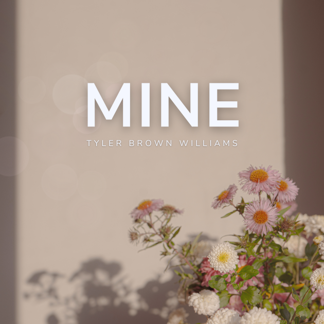 MINE by Tyler Brown Williams | Song License