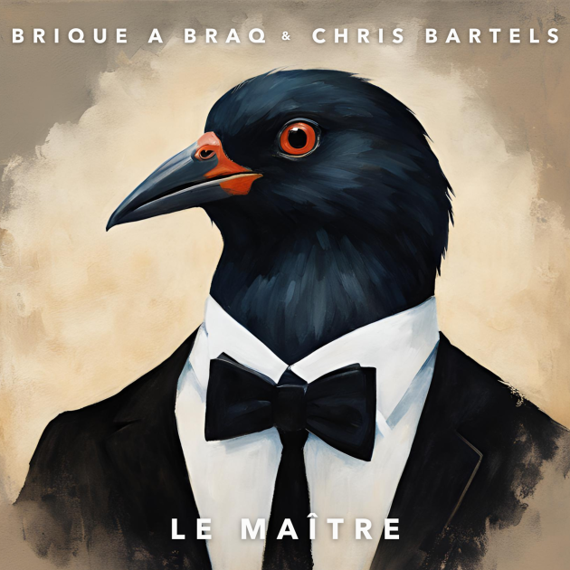 Le maître (with Chris Bartels) [Ambient Version] - Instrumental by Brique a Braq | Song License