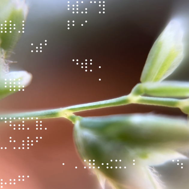 Sky feat. Felty & Susan by iamalex | Song License