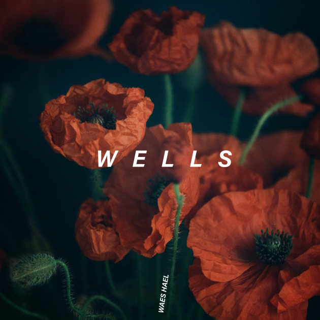 Wells by Waes Hael | Song License