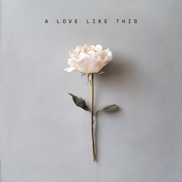 A Love Like This by MAYLYN | Song License