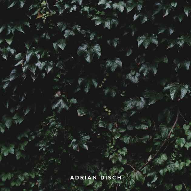 New Season by Adrian Disch | Song License