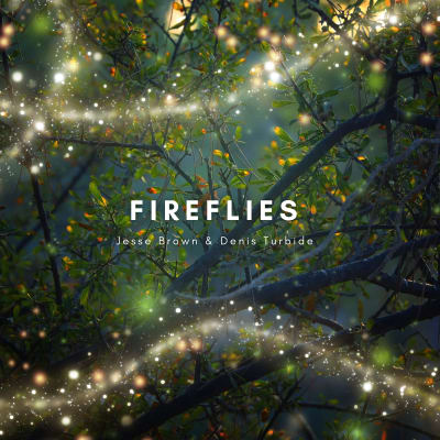Fireflies, an album by Jesse Brown | Musicbed